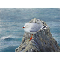 Nicolas Dillon Birds - from Central to the Coast | Milford Galleries ...