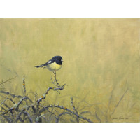 Nicolas Dillon Birds - from Central to the Coast | Milford Galleries ...