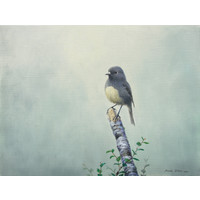 Nicolas Dillon Birds - from Central to the Coast | Milford Galleries ...