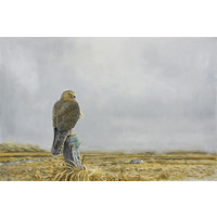 Nicolas Dillon Birds - from Central to the Coast | Milford Galleries ...