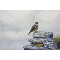 Nicolas Dillon Birds - from Central to the Coast | Milford Galleries ...