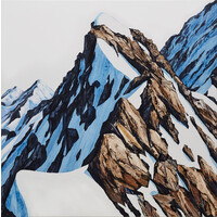 Neil Frazer | Milford Galleries Queenstown
