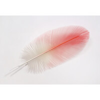 Stockroom | Milford Galleries Queenstown