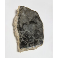 Bridget Reweti Tintypes | Milford Galleries Dunedin