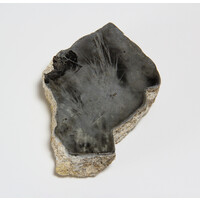 Bridget Reweti Tintypes | Milford Galleries Dunedin