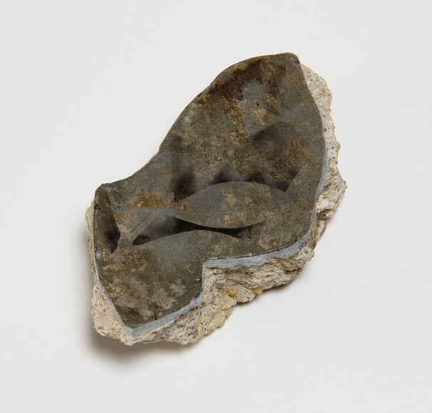 Bridget Reweti | Rātā | Milford Galleries Queenstown