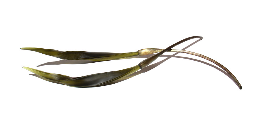 Ann Robinson | Small Twisted Flax Pods (Dark Olive) | Milford Galleries ...