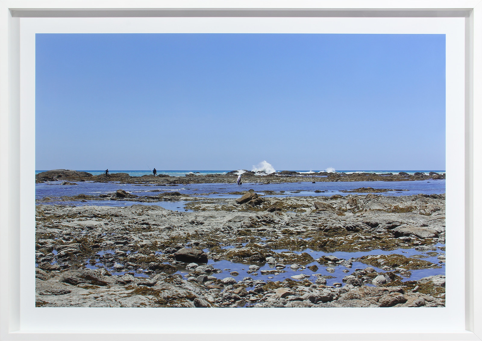 Natalie Robertson | Rock Fishing, Port Awanui (1 of 4) | Milford ...