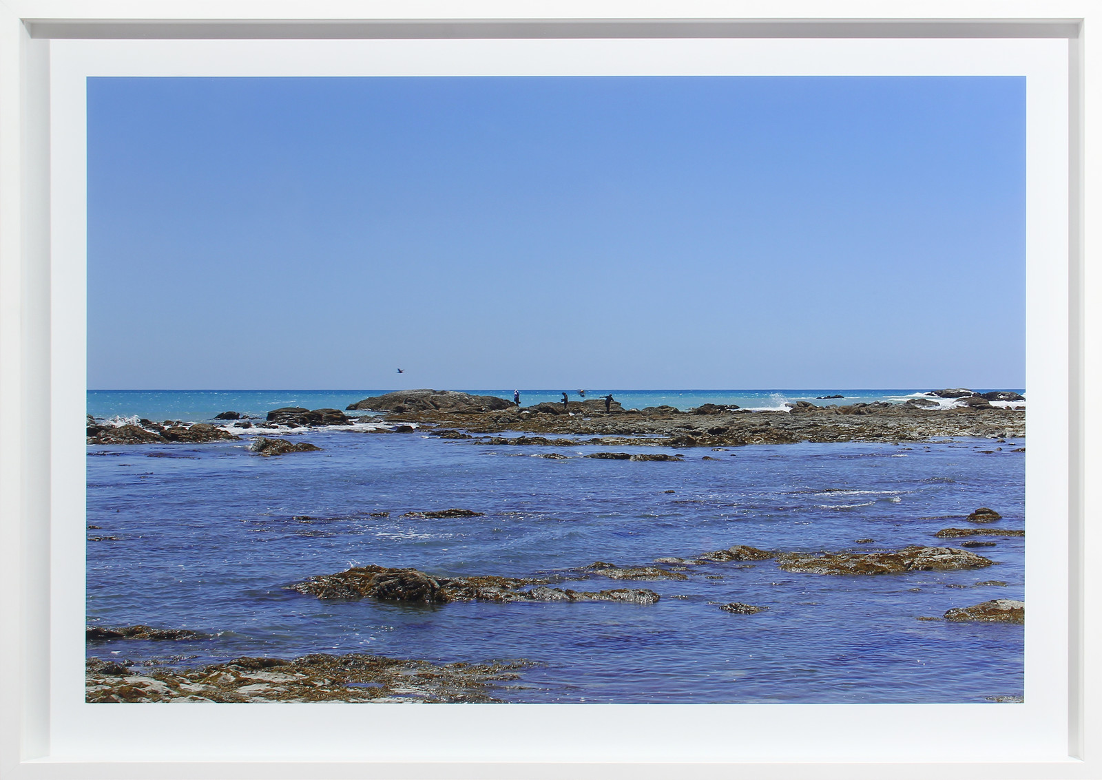 Natalie Robertson | Rock Fishing, Port Awanui (2 of 4) | Milford ...