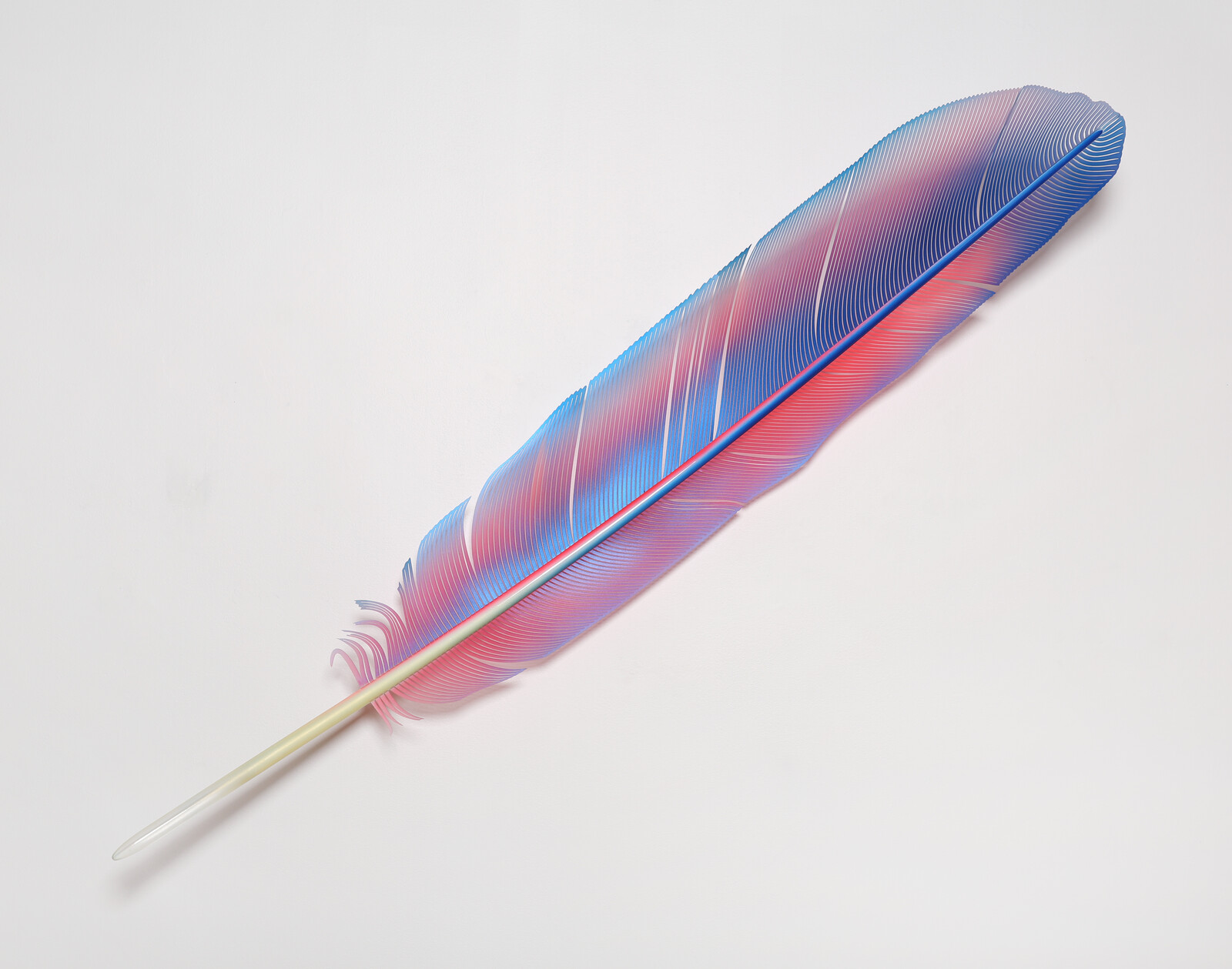 Neil Dawson | Pink / Blue Parrot Feather | Milford Galleries Queenstown