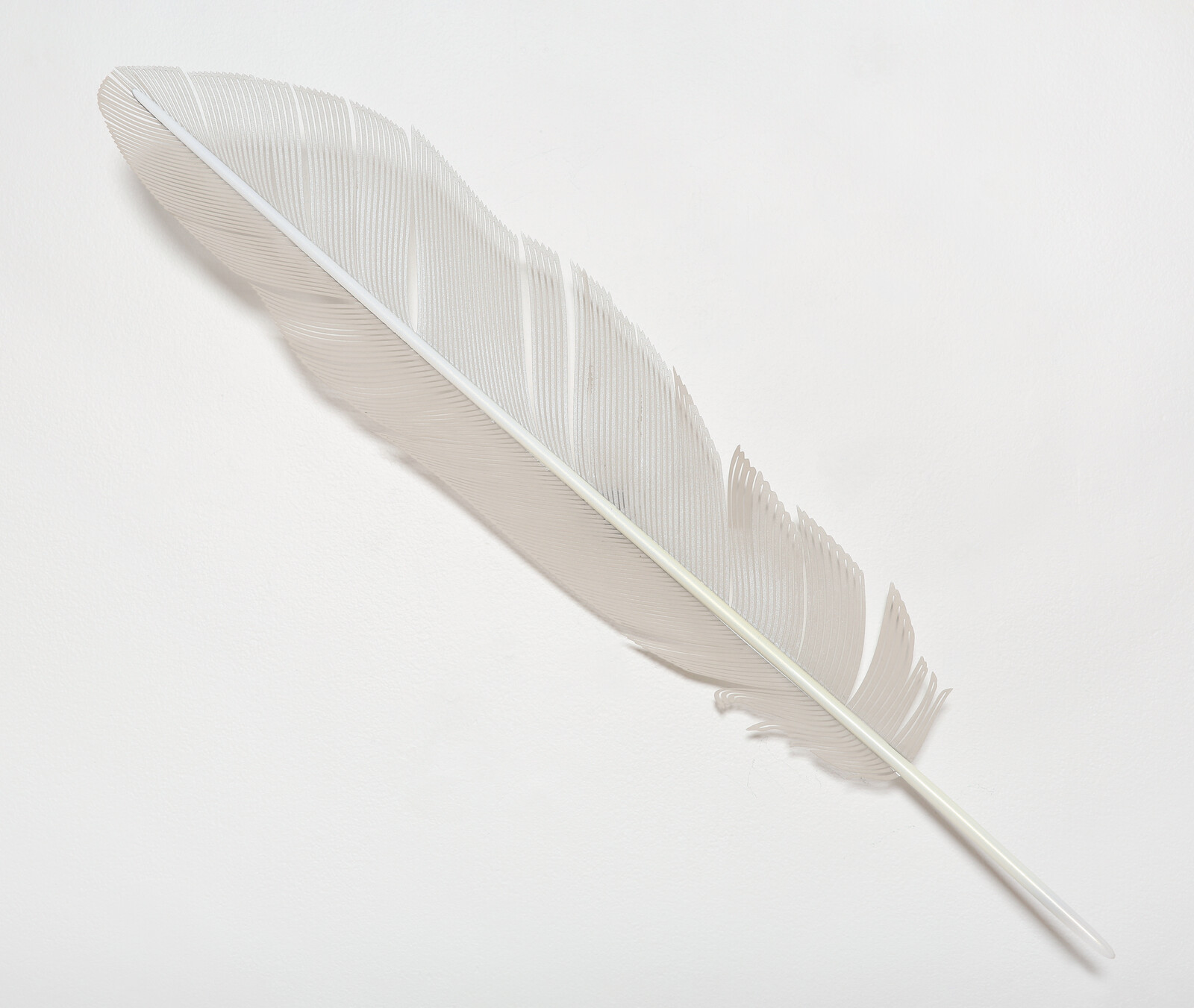 Neil Dawson | Kotuku Feather 800 | Milford Galleries Queenstown