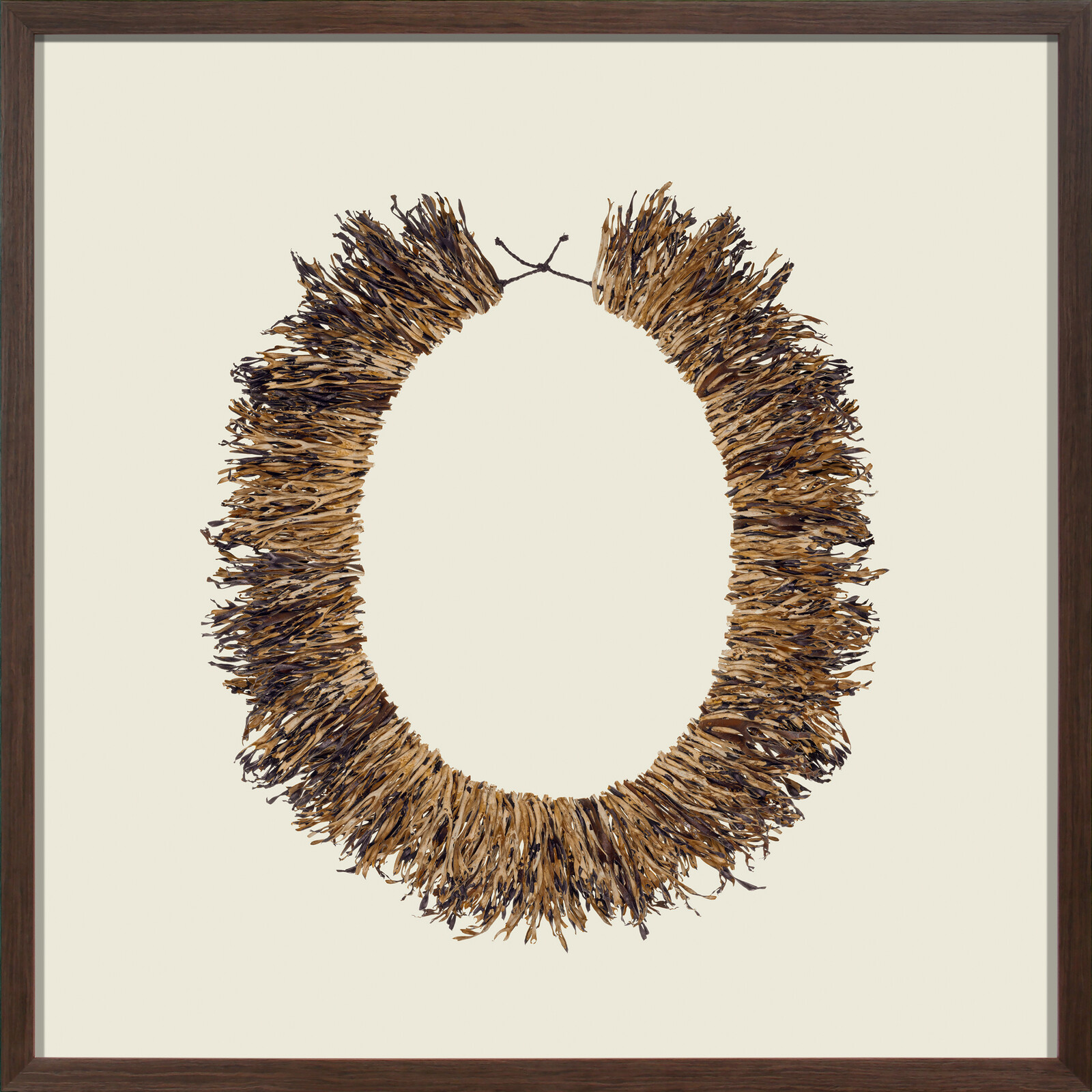 Yuki Kihara | Aotea'ula Twelef (Lessonia Variegata) | Milford Galleries ...