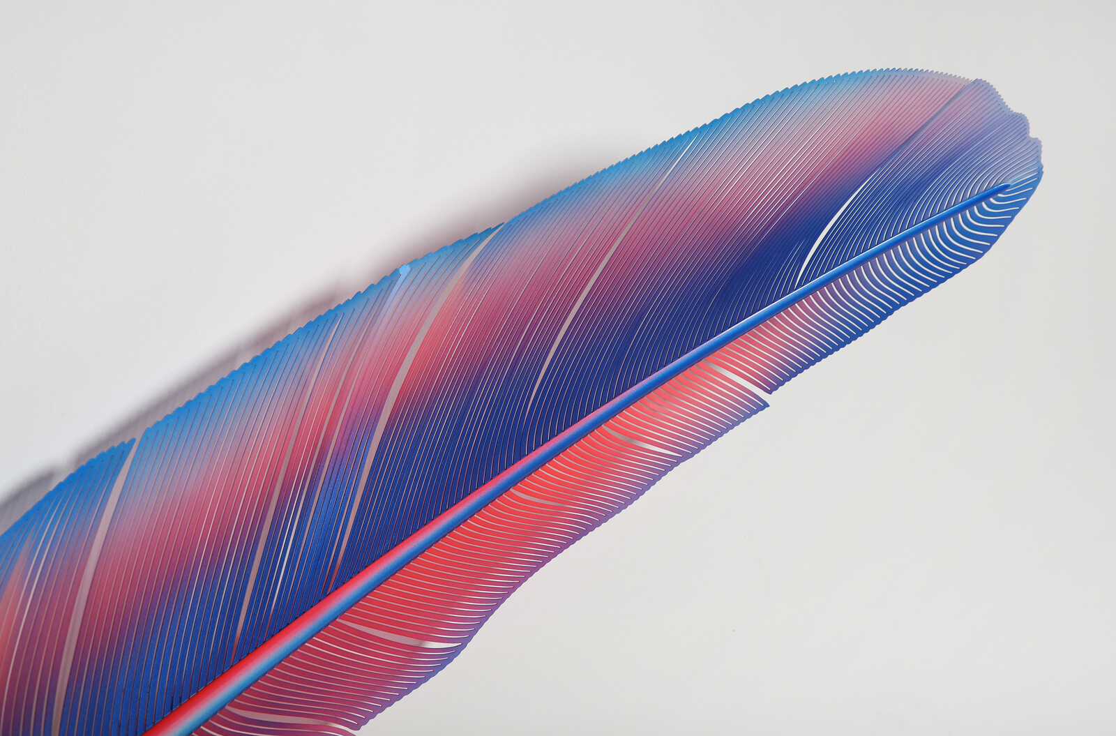 Neil Dawson | Pink / Blue Parrot Feather | Milford Galleries Queenstown