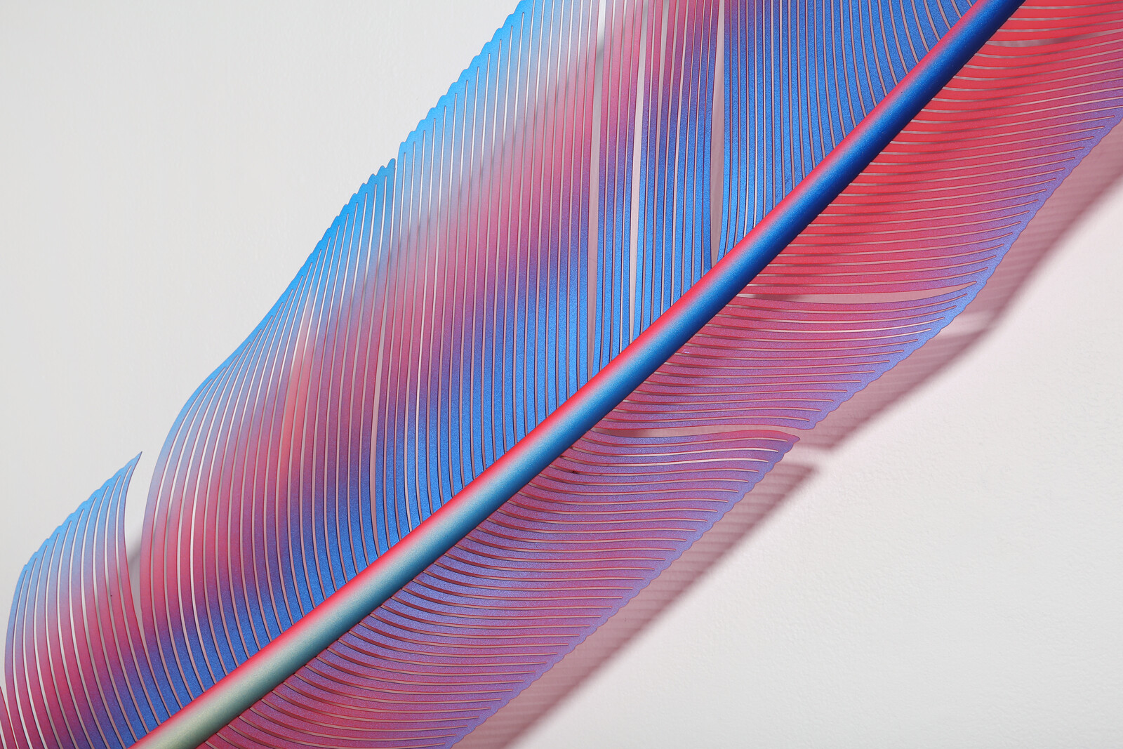 Neil Dawson | Pink / Blue Parrot Feather | Milford Galleries Queenstown
