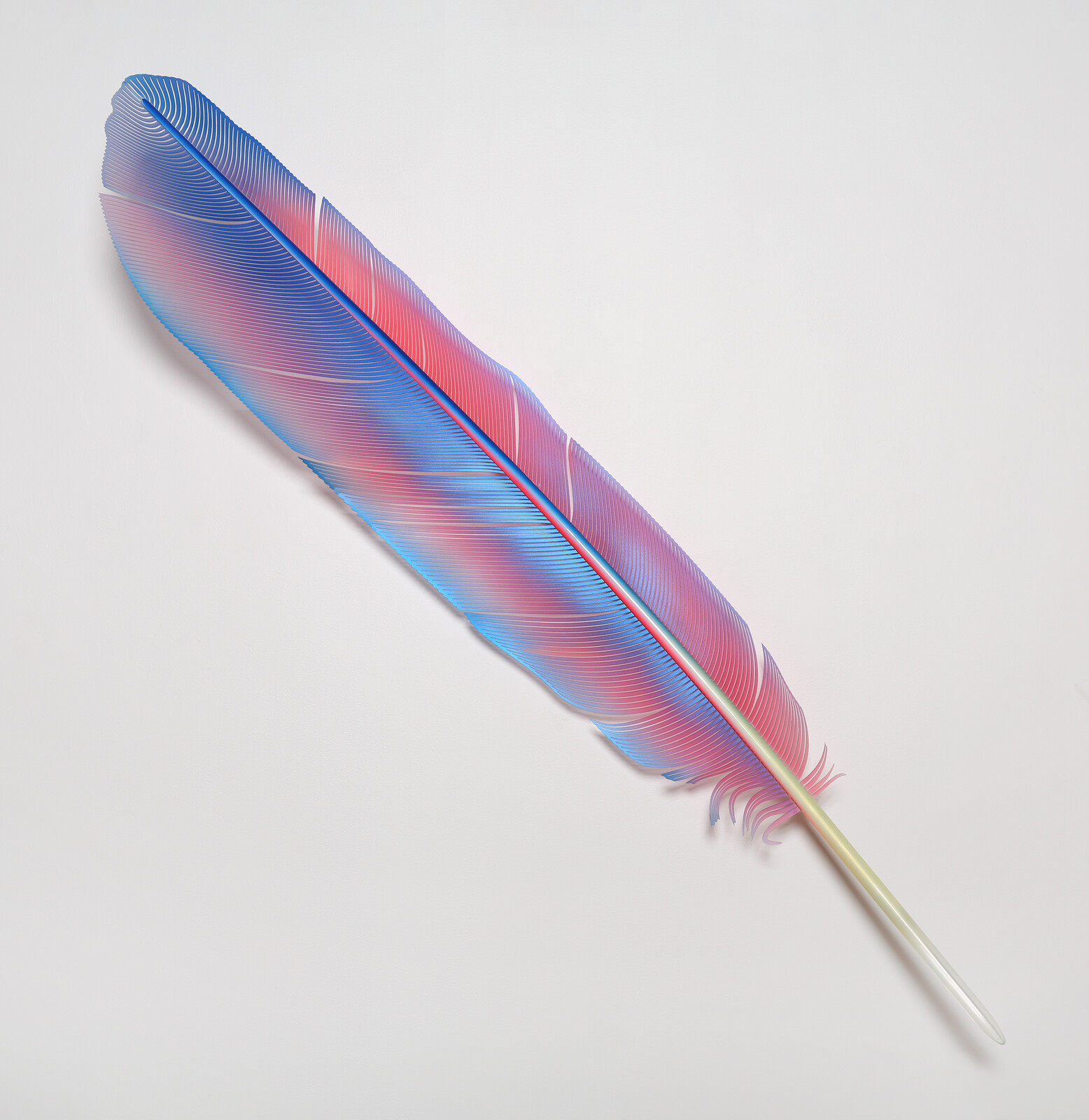 Neil Dawson | Pink / Blue Parrot Feather | Milford Galleries Queenstown