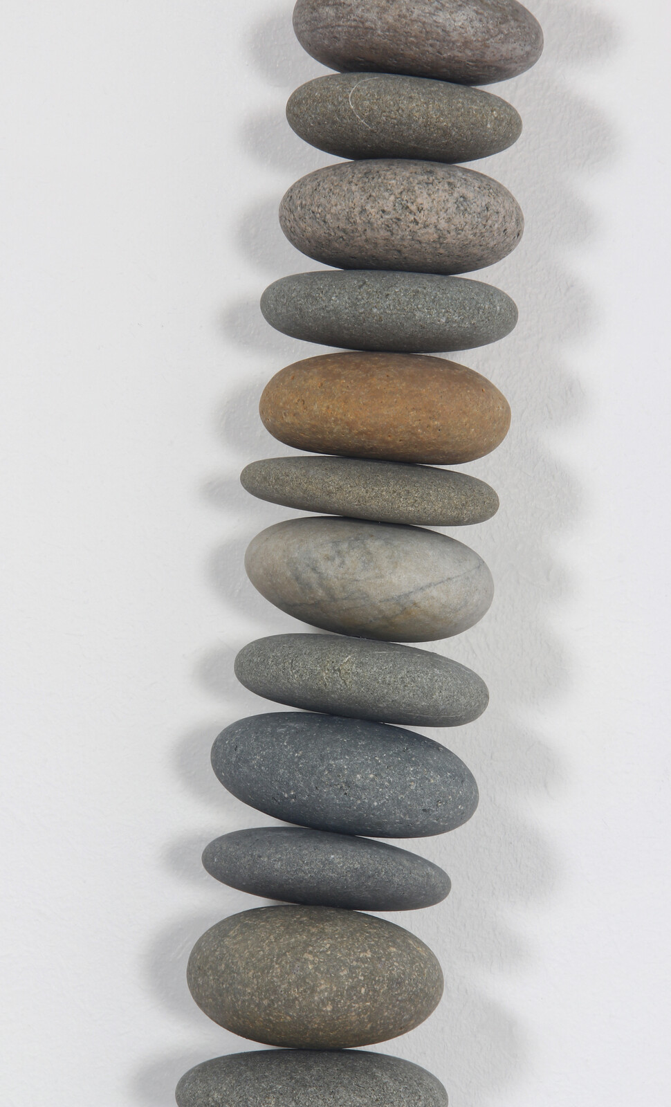 Chris Charteris | Collaboration with Nature | Milford Galleries Queenstown