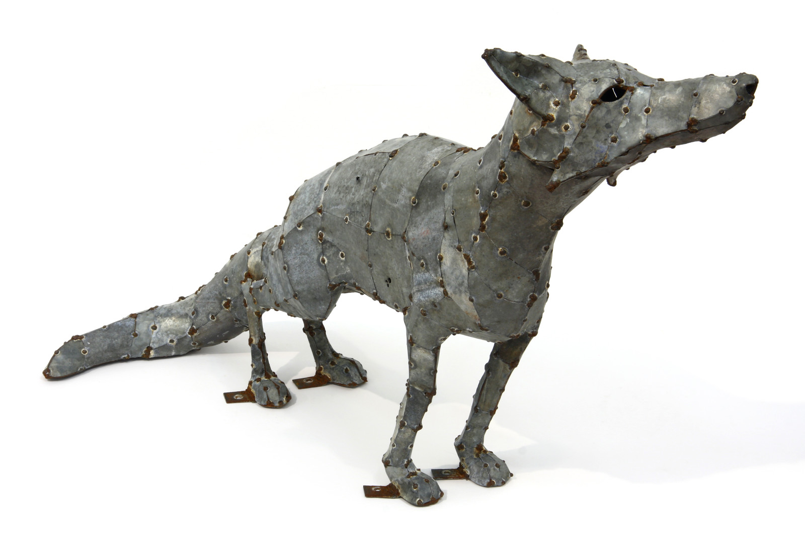 Hannah Kidd | Loxy | Milford Galleries Queenstown