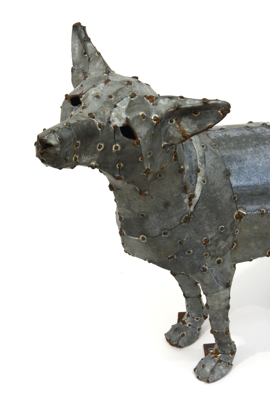 Hannah Kidd | Loxy | Milford Galleries Queenstown