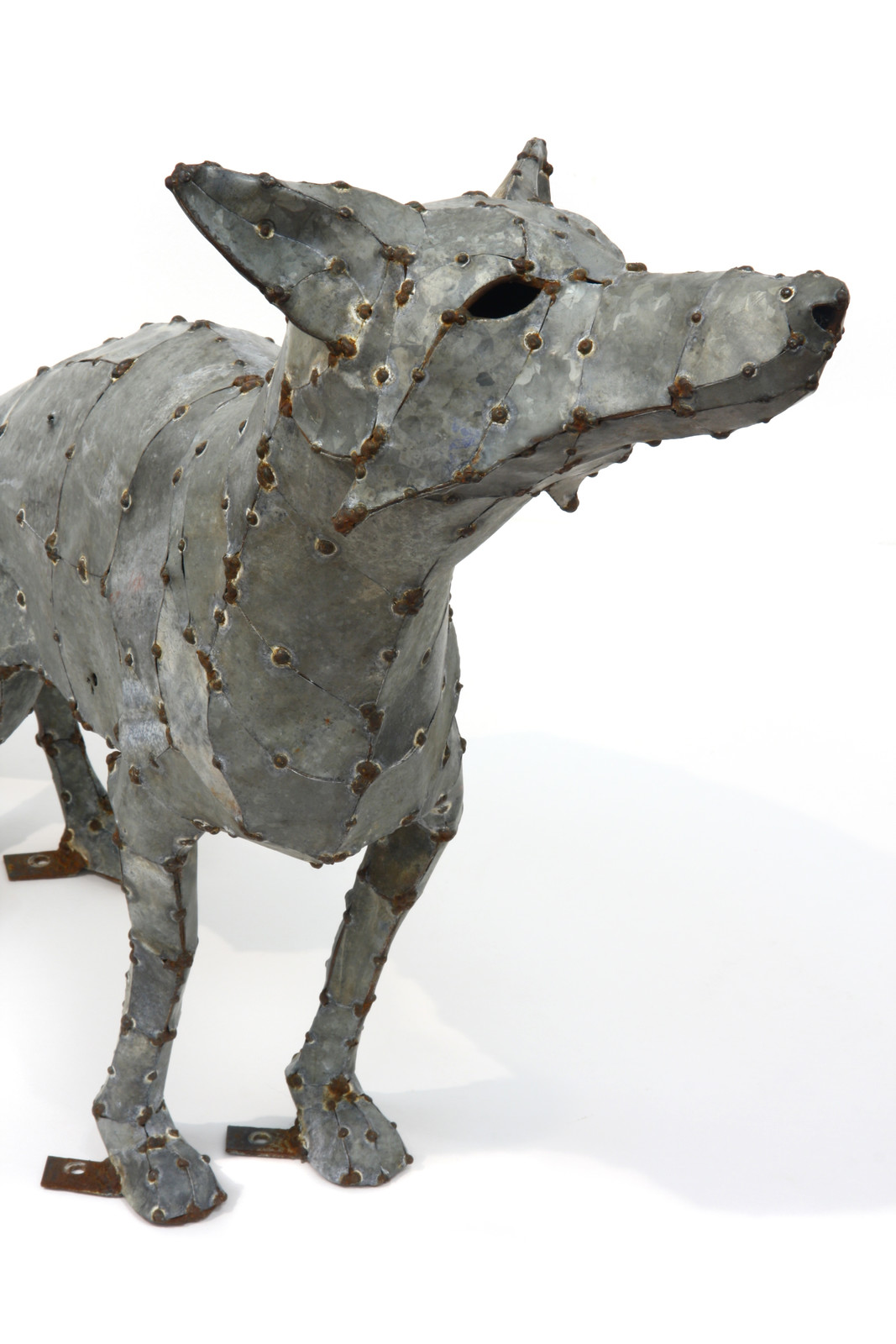 Hannah Kidd | Loxy | Milford Galleries Queenstown