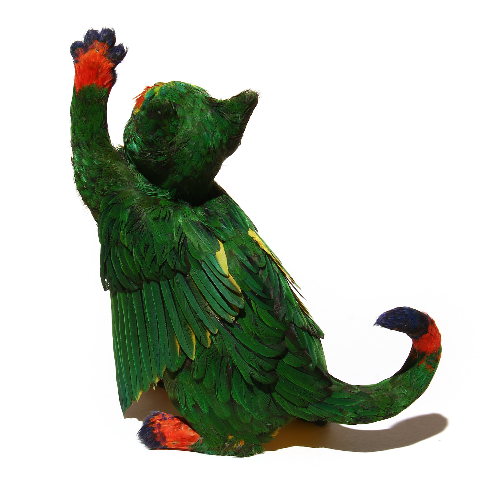 Emily Valentine | Keety Kitty | Milford Galleries Queenstown