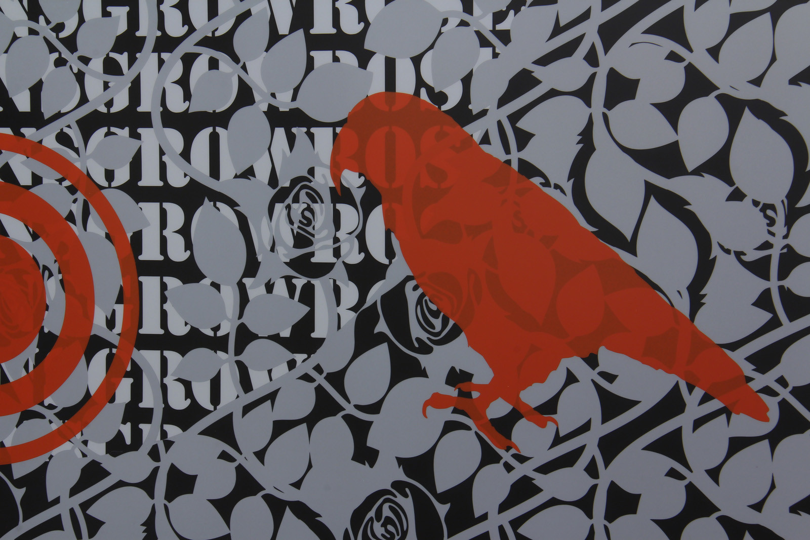 Robert Jahnke | Ngā Manu a Māui: The Birds of Māui I | Milford ...