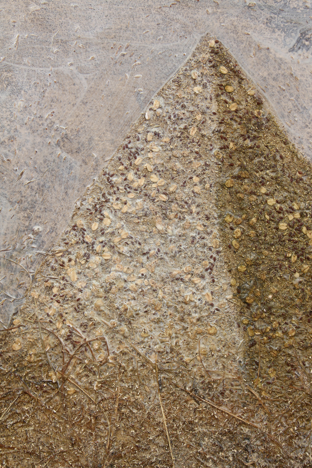 Michael Shepherd | Food Pyramid / Otago | Milford Galleries Dunedin